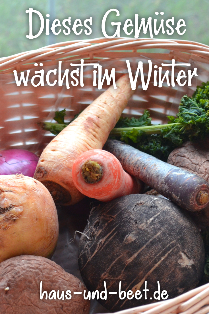 Frisches, regionales Gemüse im Winter ernten – Haus und Beet