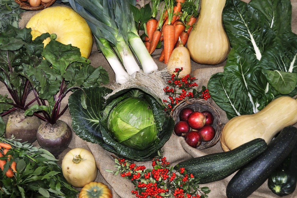 Aussaatpläne im September: Bereite dich auf den Winter vor! – Haus und Beet