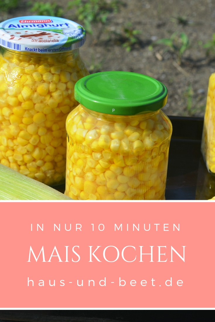 Mais kochen in nur 10 Minuten – Mach dir einen Vorrat für den Winter ...