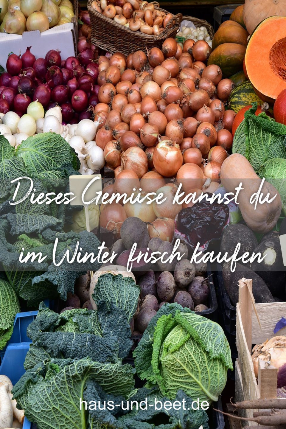 Saisonales Gemüse in Mitteleuropa – Eine Übersicht – Haus und Beet