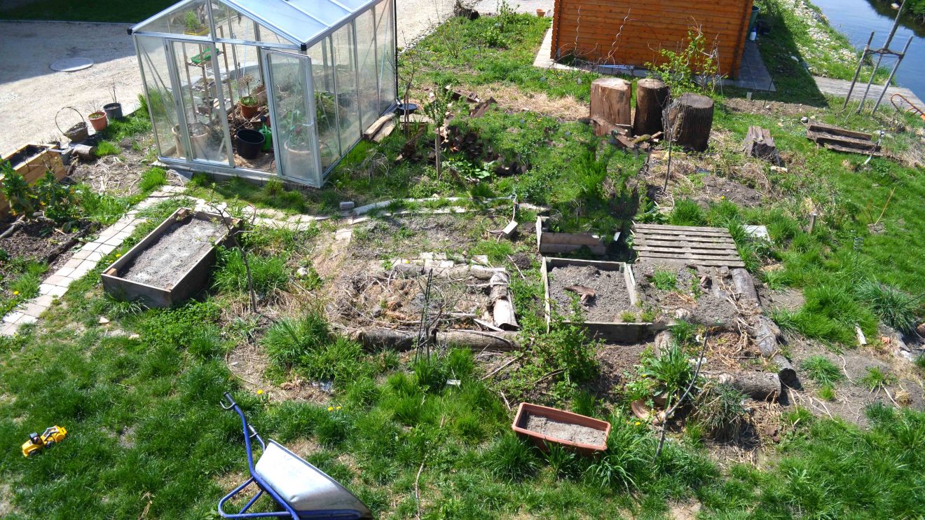 Verwildeter Garten? So fängst du an - Haus und Beet