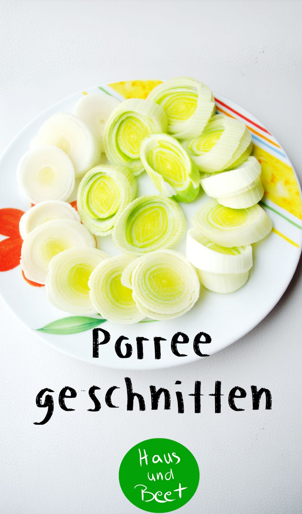 Lauch – Porree aus dem Garten in deine Küche – Haus und Beet