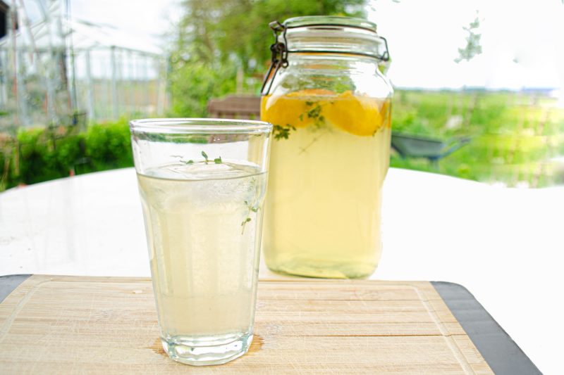 Zitronenlimonade selber machen – wandelbares Rezept – Haus und Beet